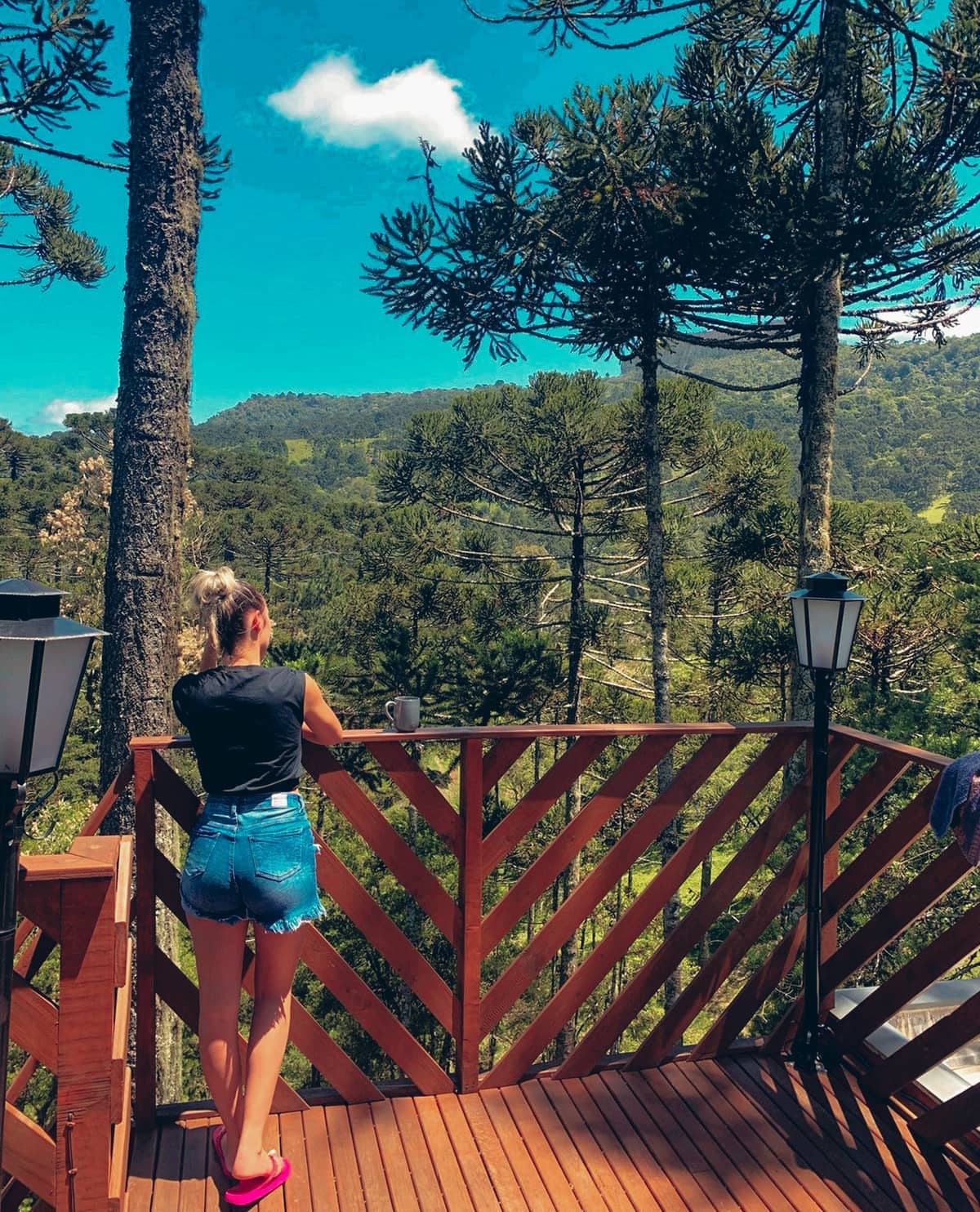 Pousadas Top Brasil - Chalé Forte das Araucárias